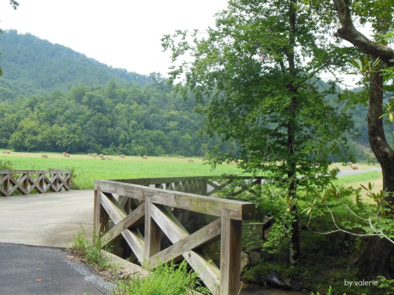 How I Learned to Read – Valerie Rumfelt